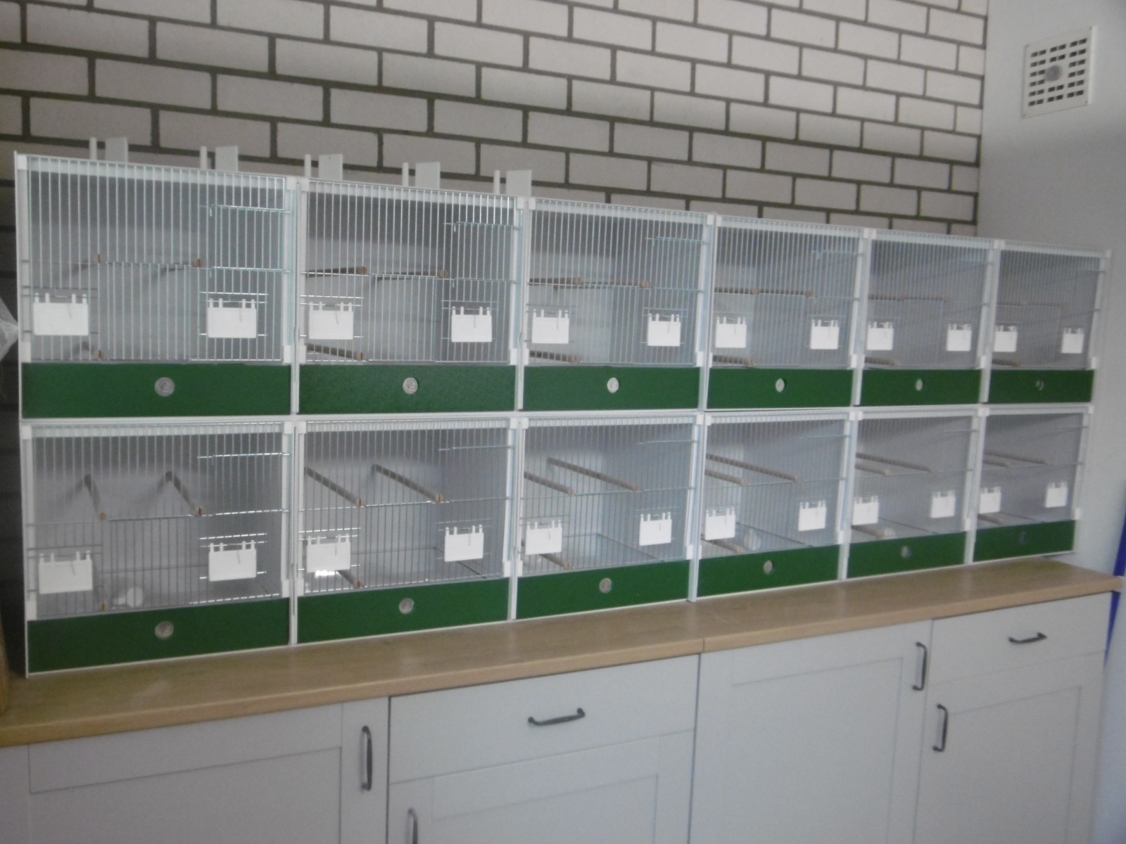 Dion Meijer | District Overijssel NBvV