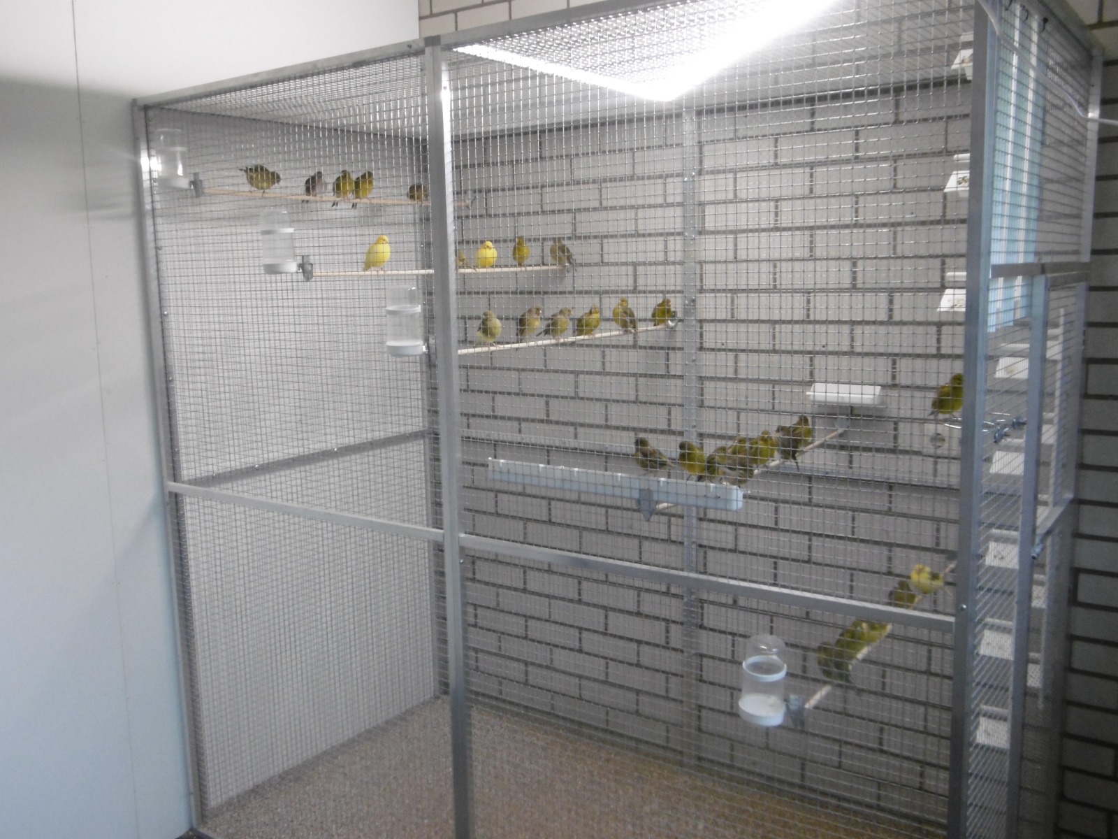 Dion Meijer | District Overijssel NBvV